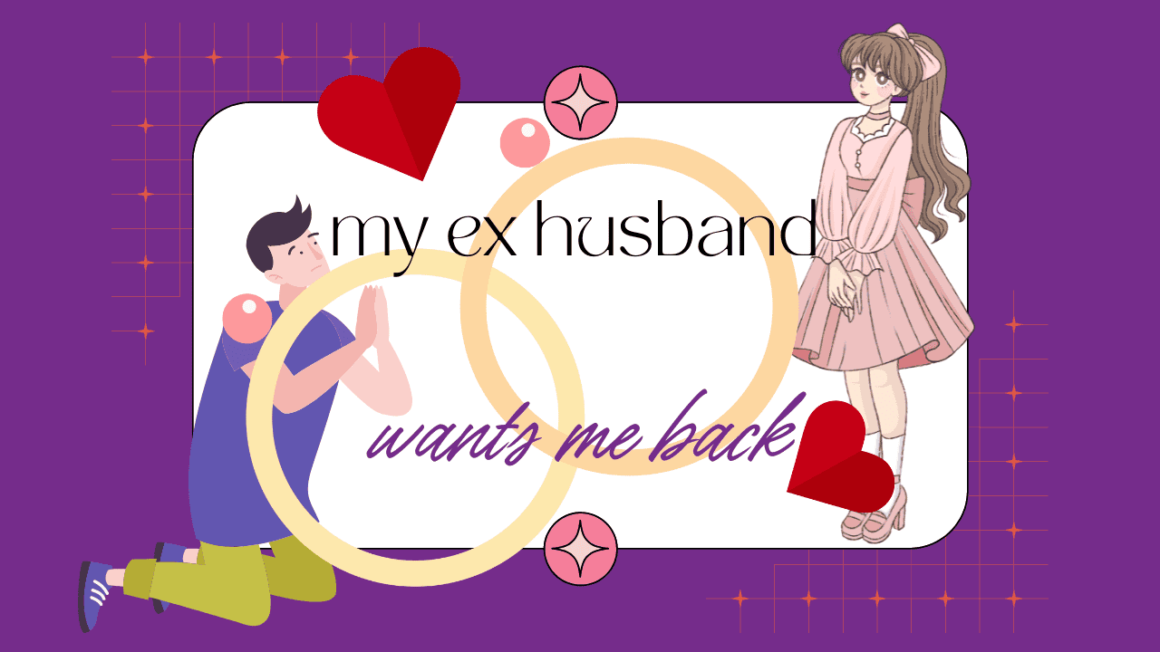 My Ex-husband Wants Me Back - Magnet of Success