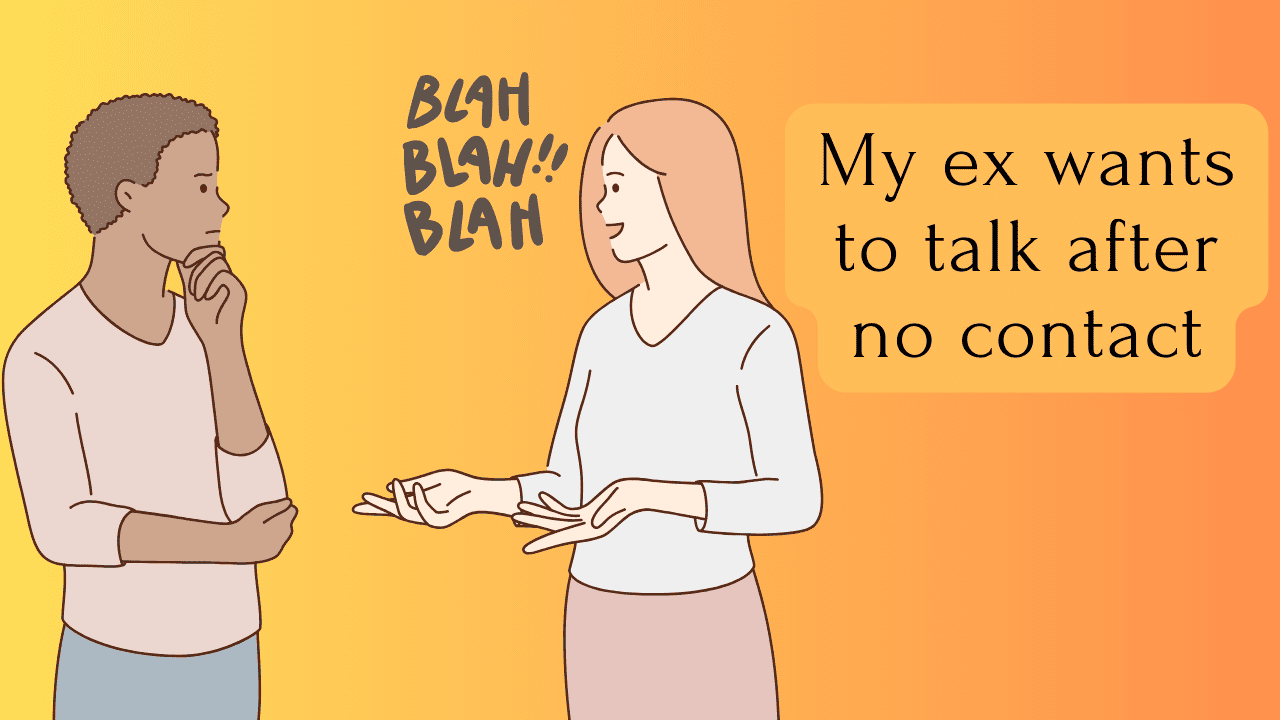 My Ex Wants To Talk After No Contact - Magnet of Success