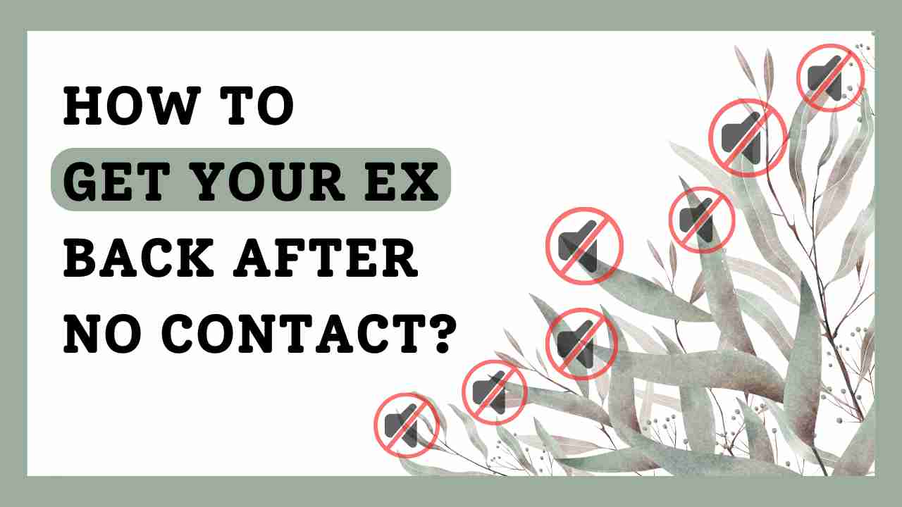 How To Get Your Ex Back After No Contact? - Magnet of Success